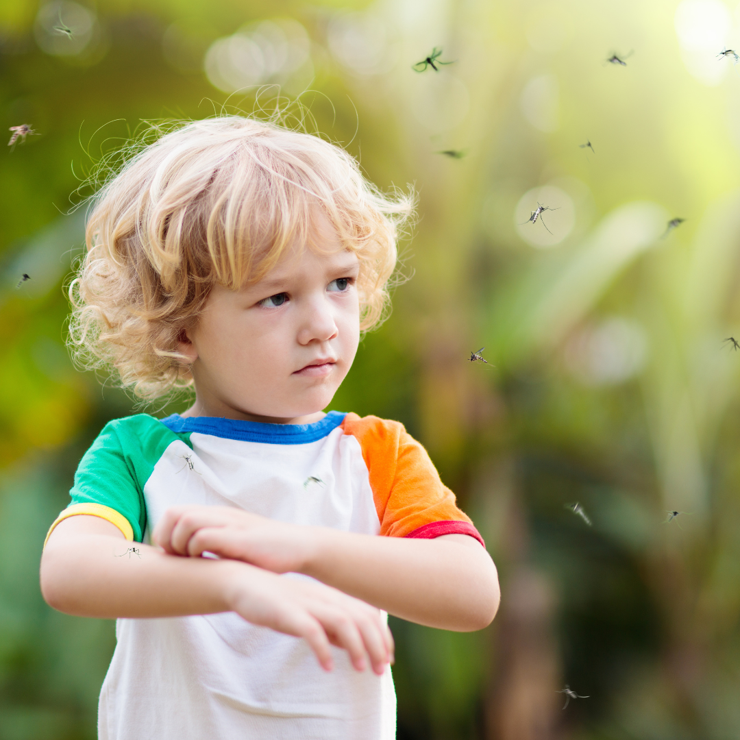 The Mosquito Problem and Effective Mosquito Control - MosquitoNix Austin