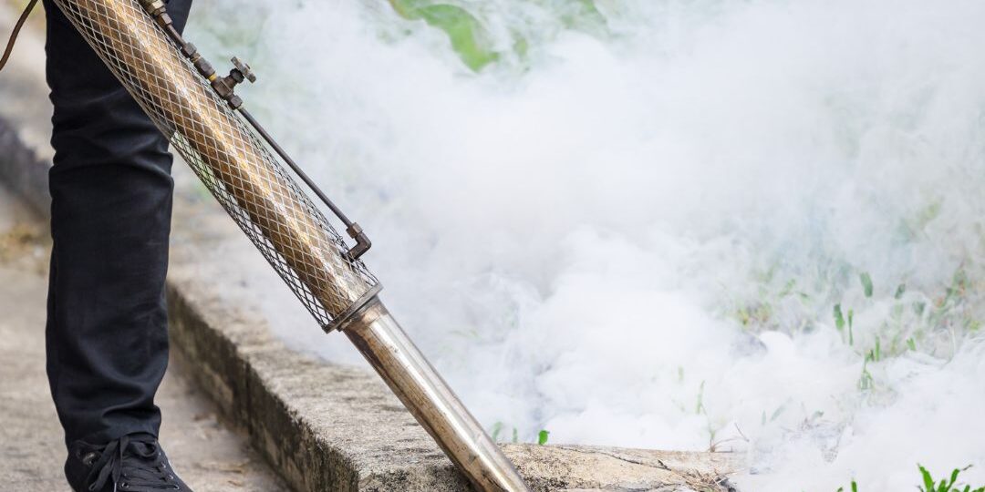 Mastering Mosquito Control: A Comprehensive Guide to Mosquito Yard ...