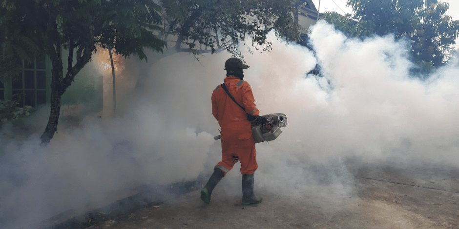 Fumigation for Mosquitoes: Effective Solutions and Safety Tips by ...